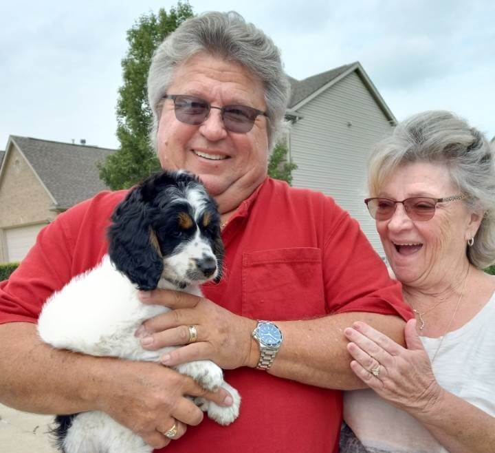 Getting Started As A Pet Transporter