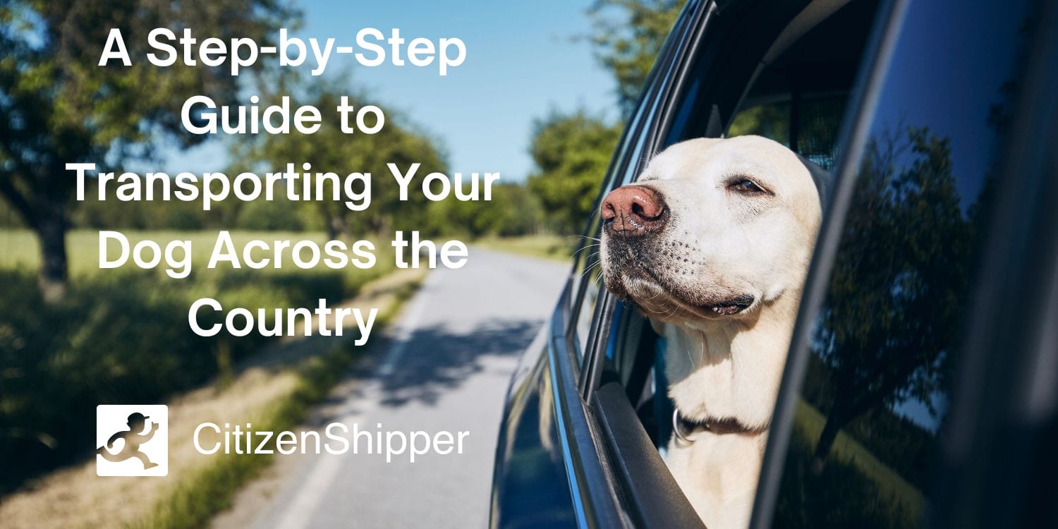 Six Tips For a Long Distance Move with Dogs