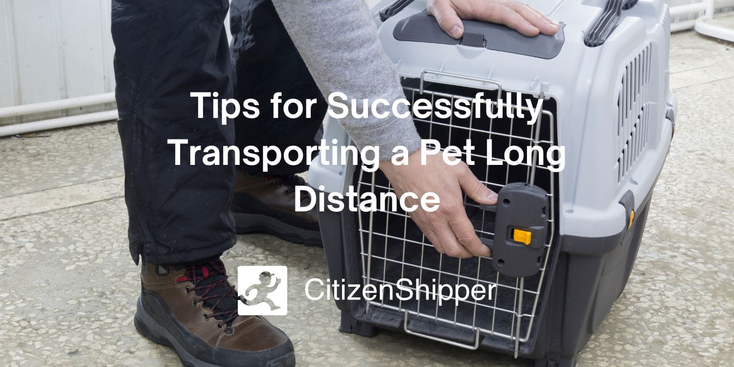 Six Tips For a Long Distance Move with Dogs